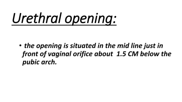 Anatomy of female reproductive organ.pptx