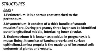 Anatomy of female reproductive organ.pptx