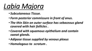 Anatomy of female reproductive organ.pptx