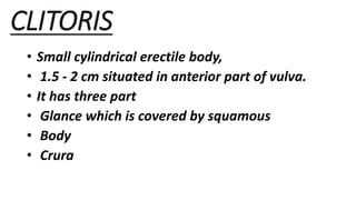 Anatomy of female reproductive organ.pptx