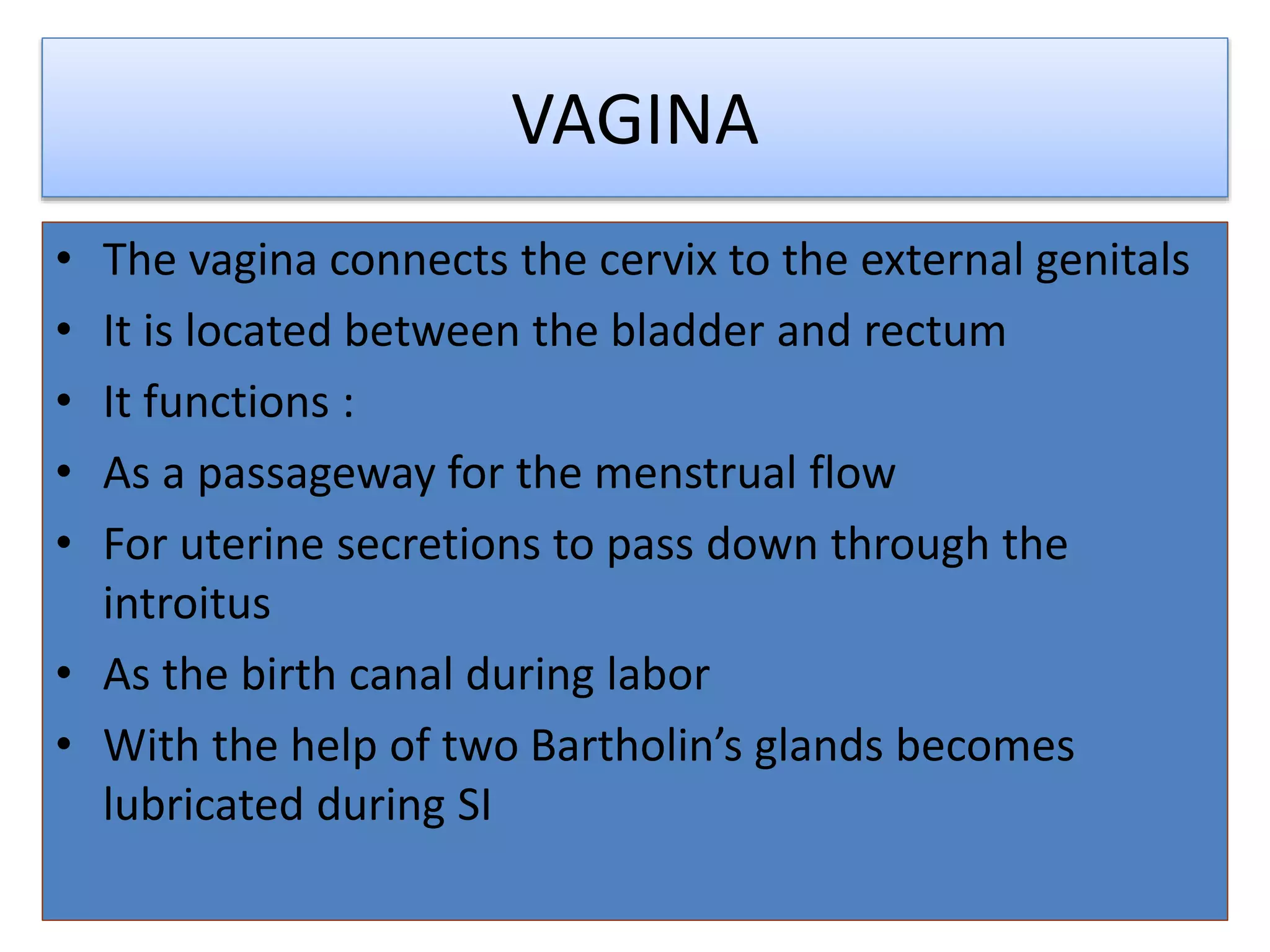 Anatomy of female reproductive organs | PPTX