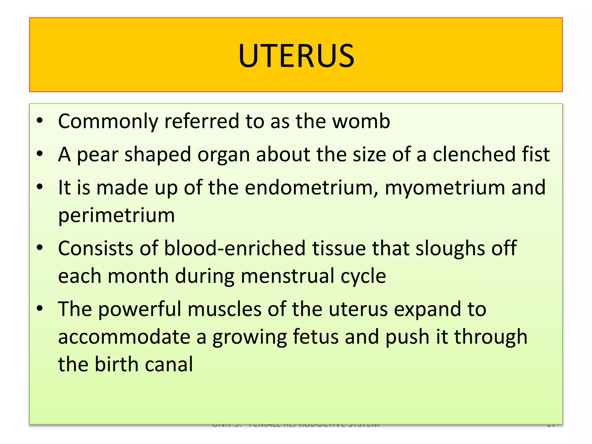 Anatomy of female reproductive organs | PPTX