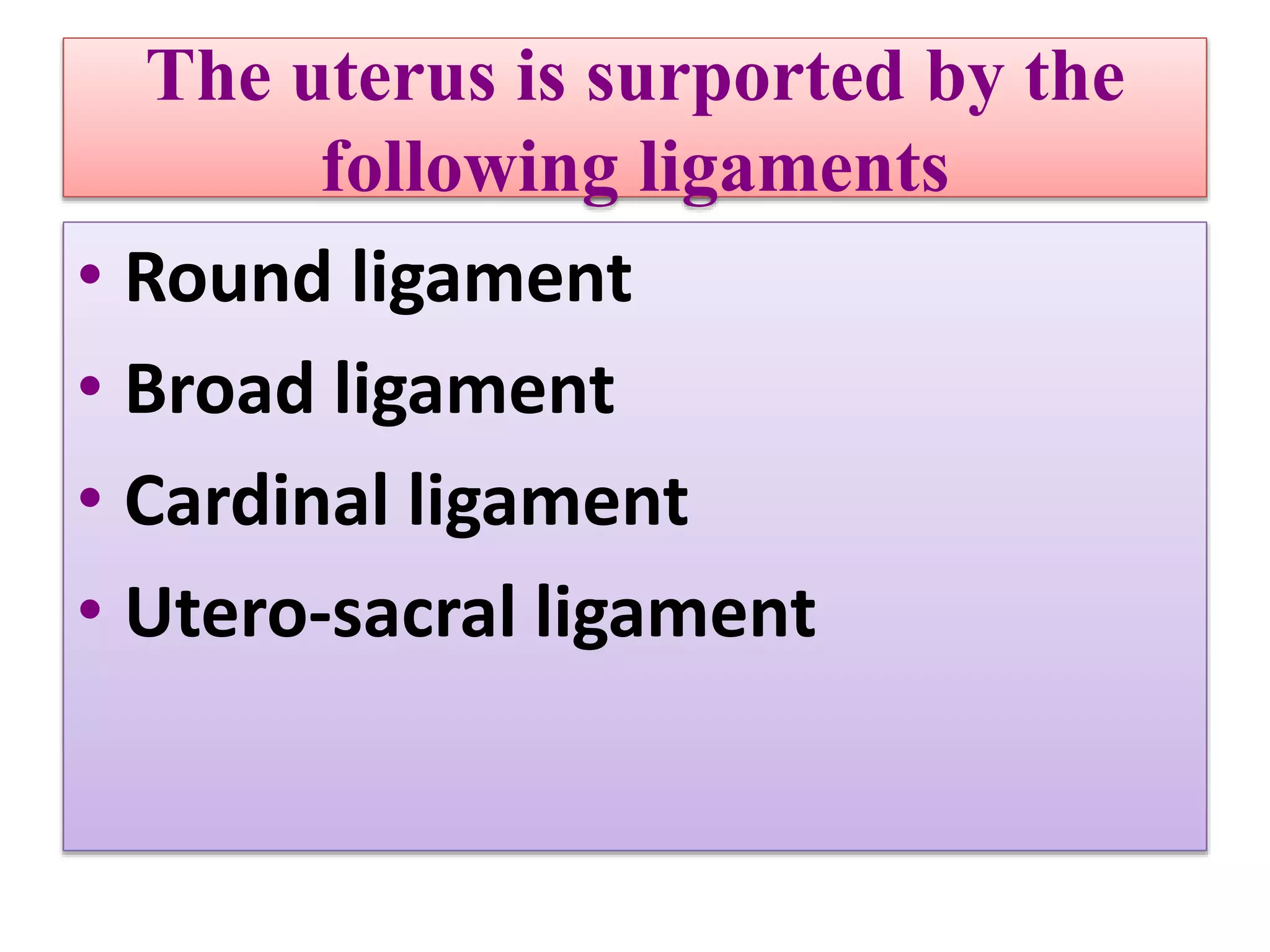 Anatomy of female reproductive organs | PPTX
