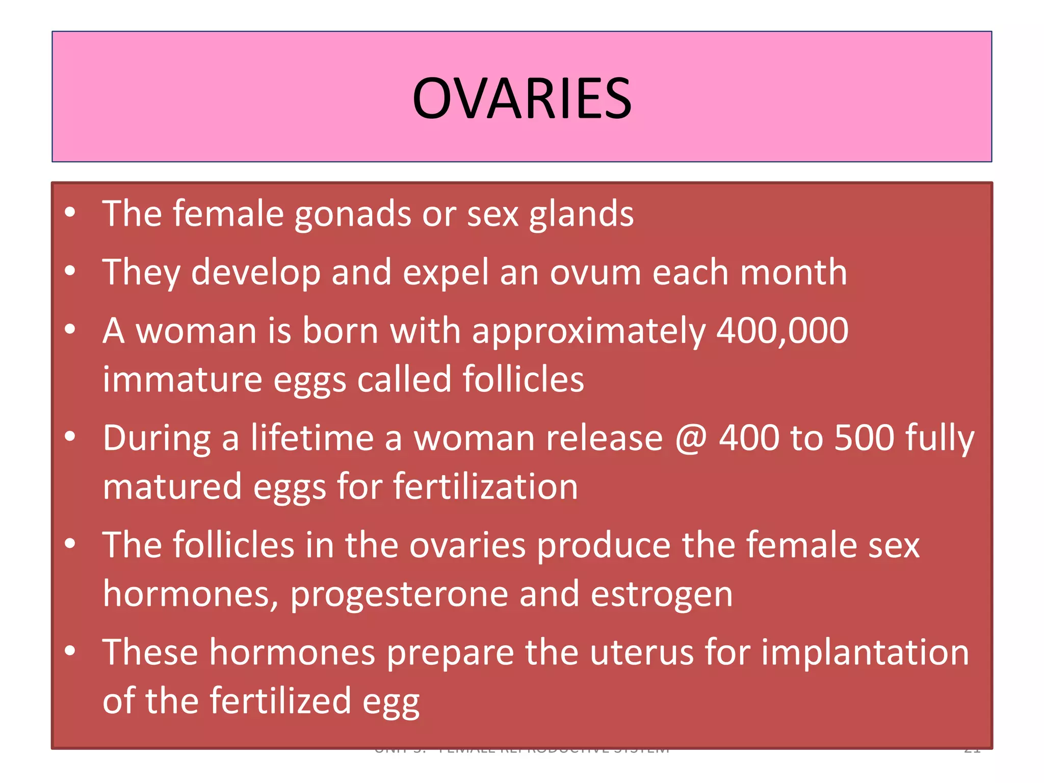 Anatomy of female reproductive organs | PPTX