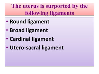 Anatomy of female reproductive organs | PPTX