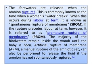 Anatomy of female reproductive organs | PPTX