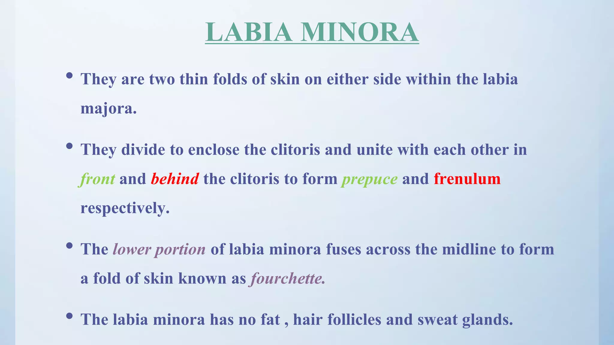 Anatomy of female reproductive organs | PPTX