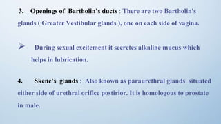 Anatomy of female reproductive organs | PPTX