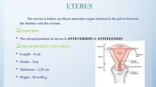 Anatomy of female reproductive organs | PPT