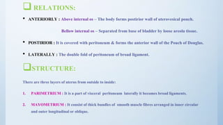 Anatomy of female reproductive organs | PPT