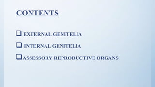 Anatomy of female reproductive organs | PPT