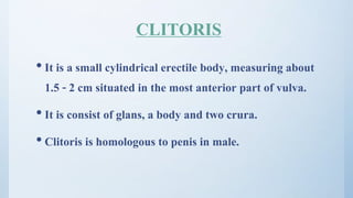 Anatomy of female reproductive organs | PPTX