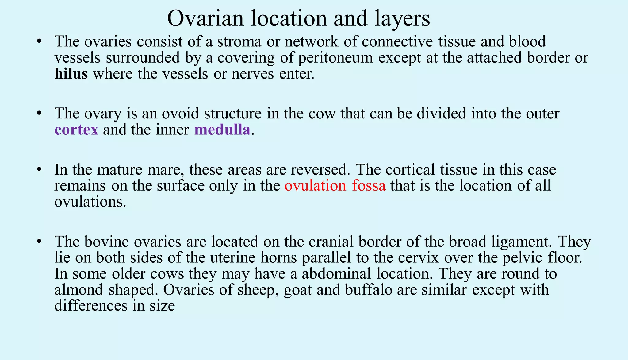 Anatomy of female reproductive organs in domestic animals | PDF