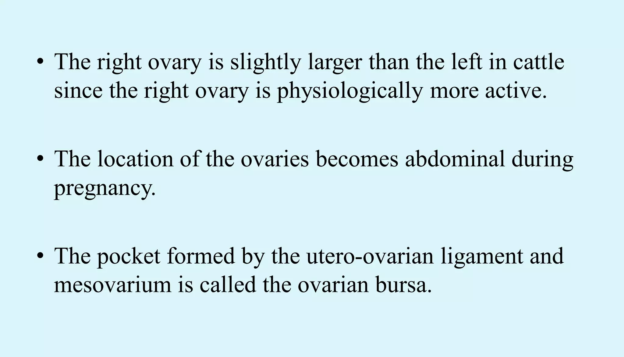 Anatomy of female reproductive organs in domestic animals | PDF