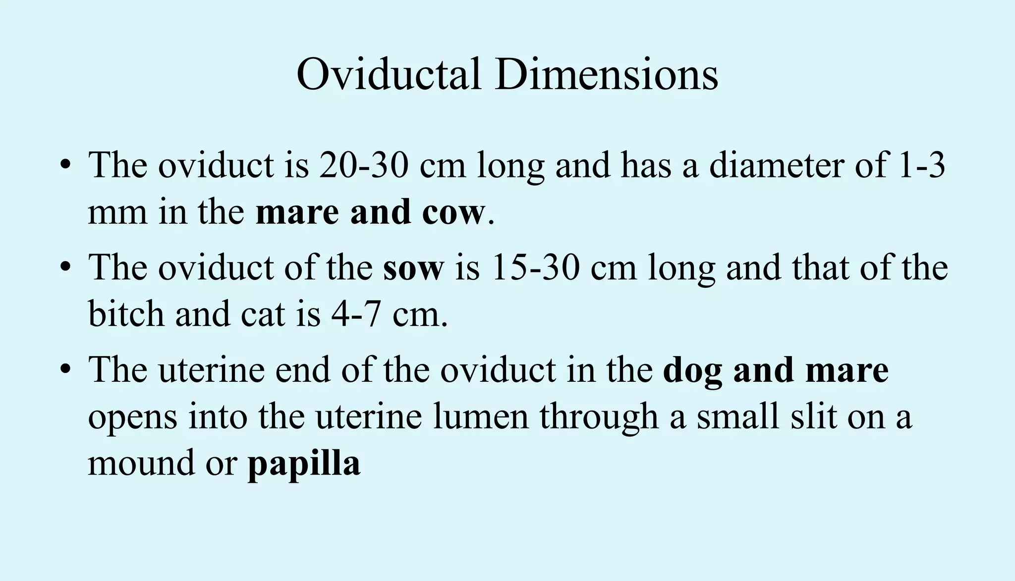 Anatomy of female reproductive organs in domestic animals | PDF