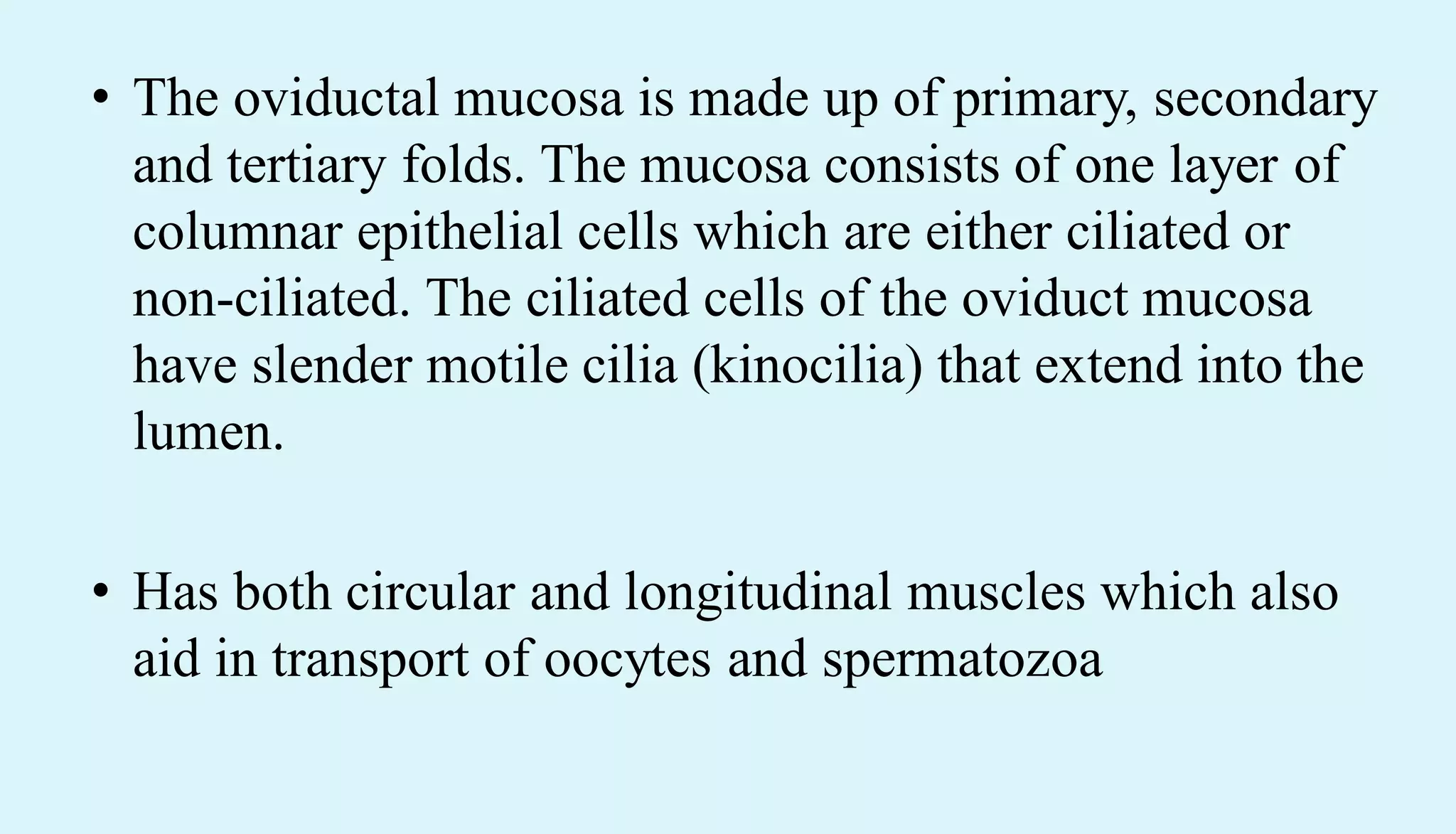 Anatomy of female reproductive organs in domestic animals | PDF