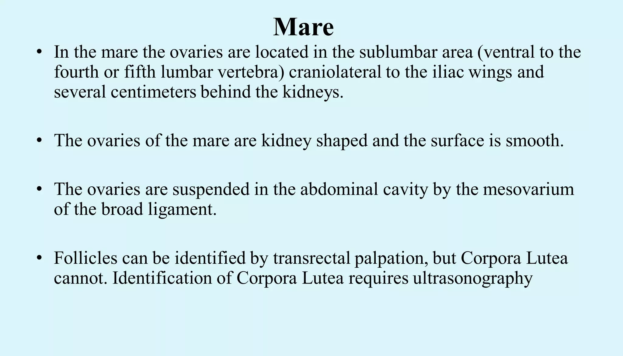 Anatomy of female reproductive organs in domestic animals | PDF