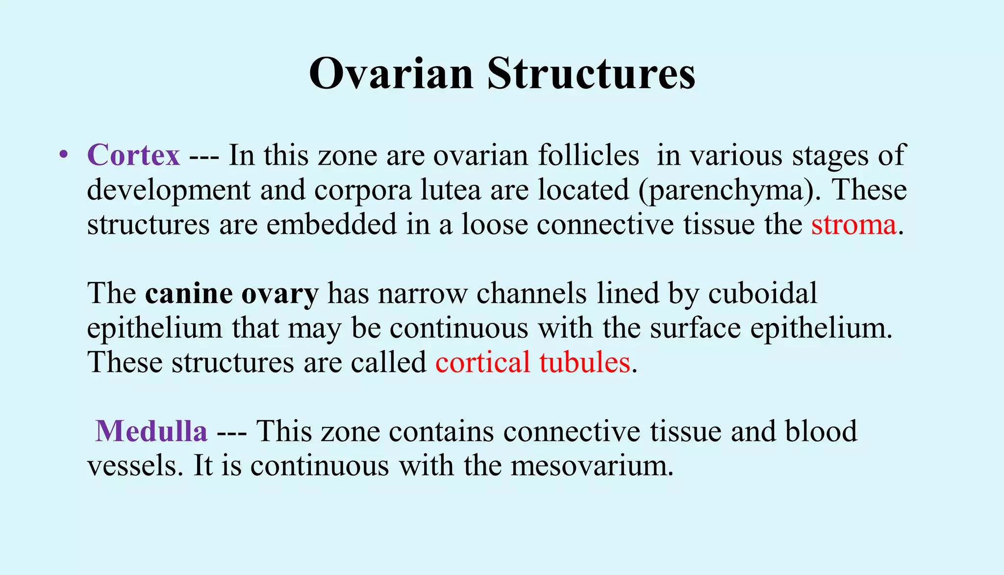 Anatomy of female reproductive organs in domestic animals | PDF