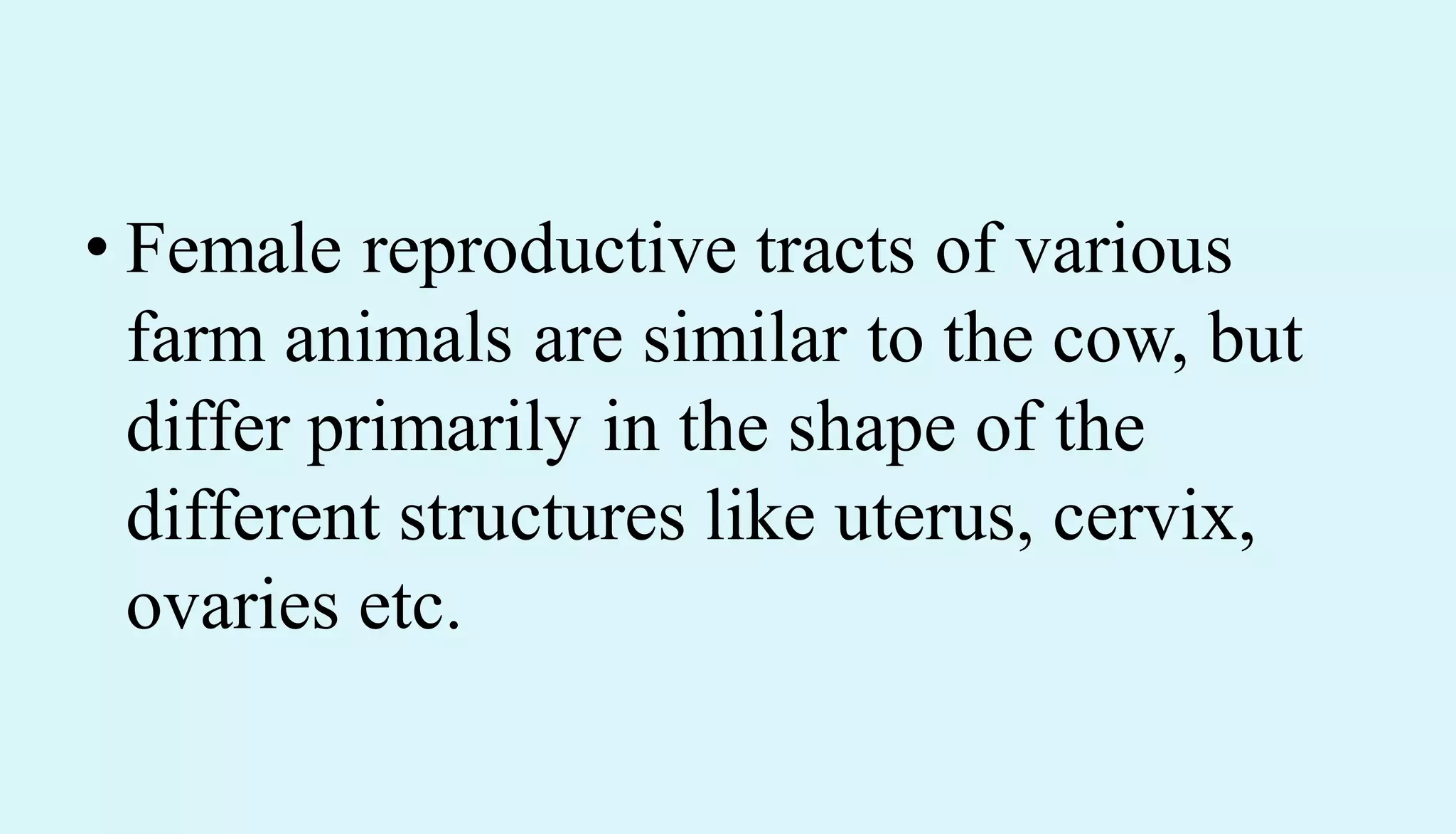 Anatomy of female reproductive organs in domestic animals | PDF