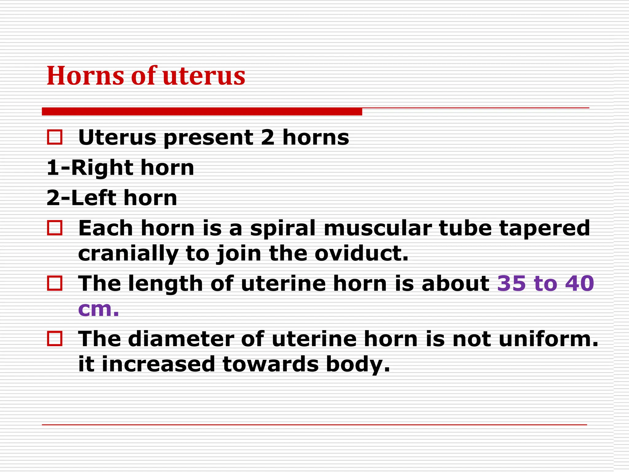 Anatomy of Female reproductive system.pdf