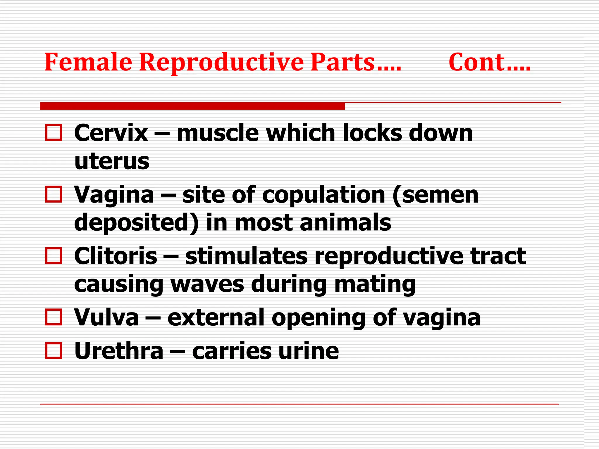 Anatomy of Female reproductive system.pdf