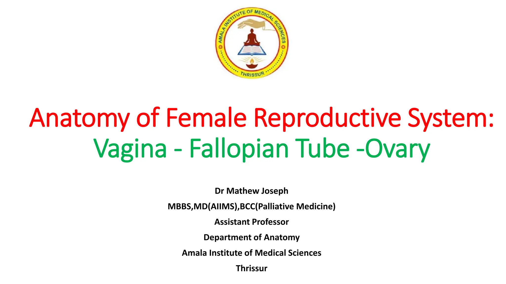 Anatomy of Female Reproductive System.pptx