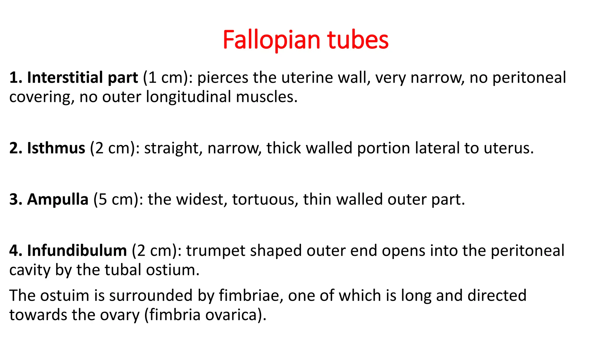 Anatomy of Female Reproductive System.pptx