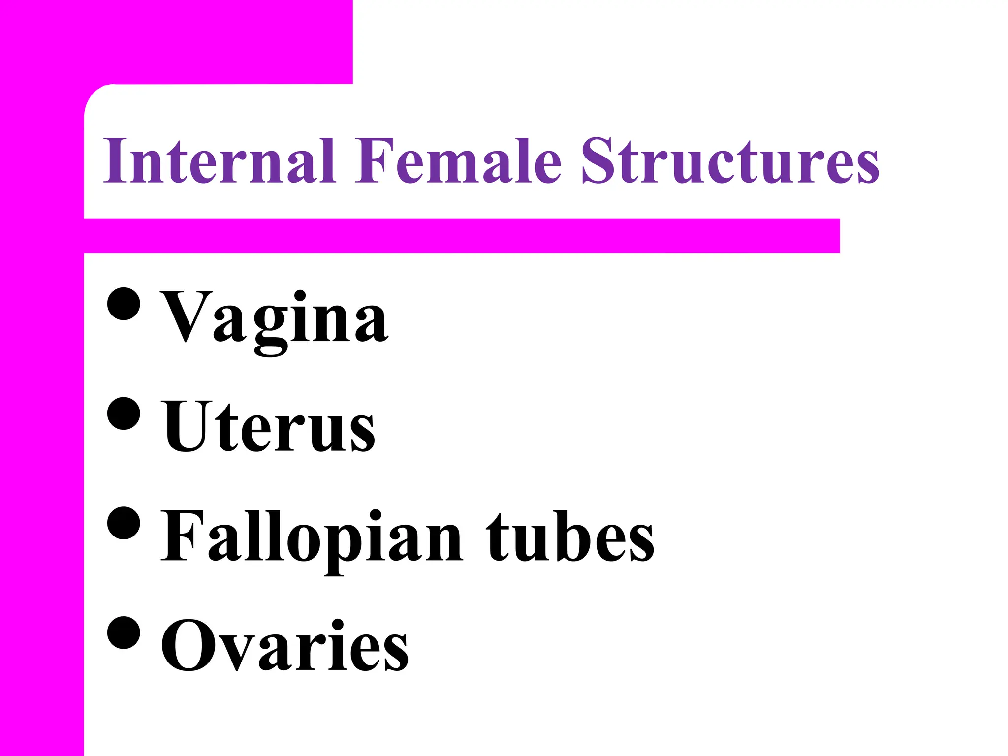Anatomy of female reproductive systyem.ppt