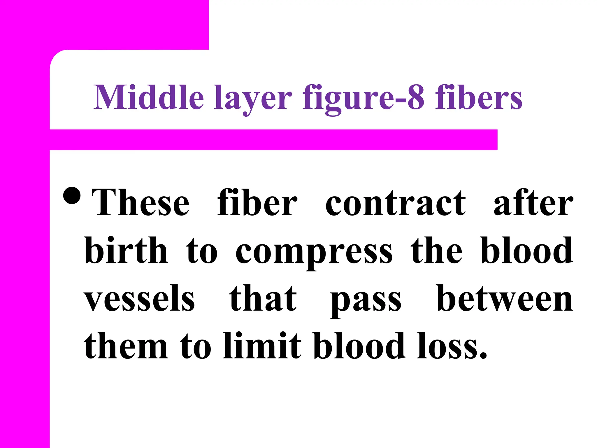 Anatomy of female reproductive systyem.ppt