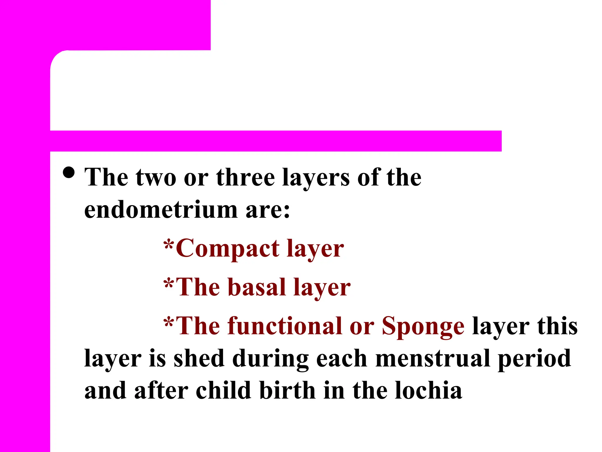 Anatomy of female reproductive systyem.ppt