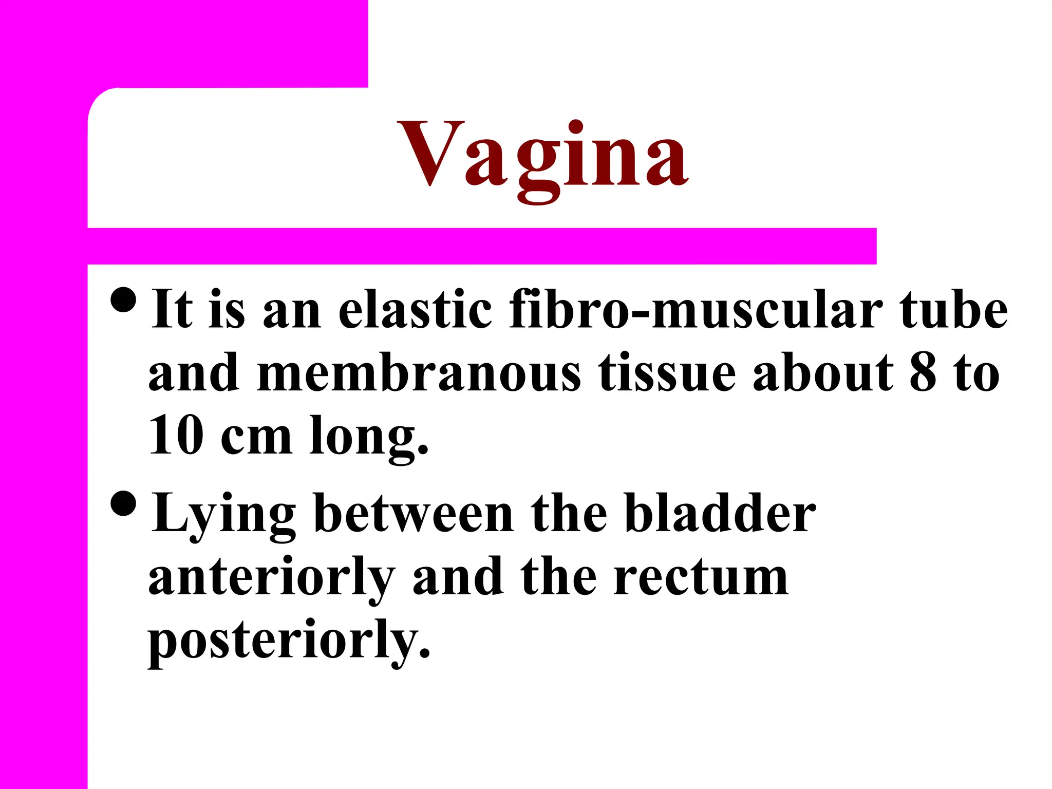 Anatomy of female reproductive systyem.ppt