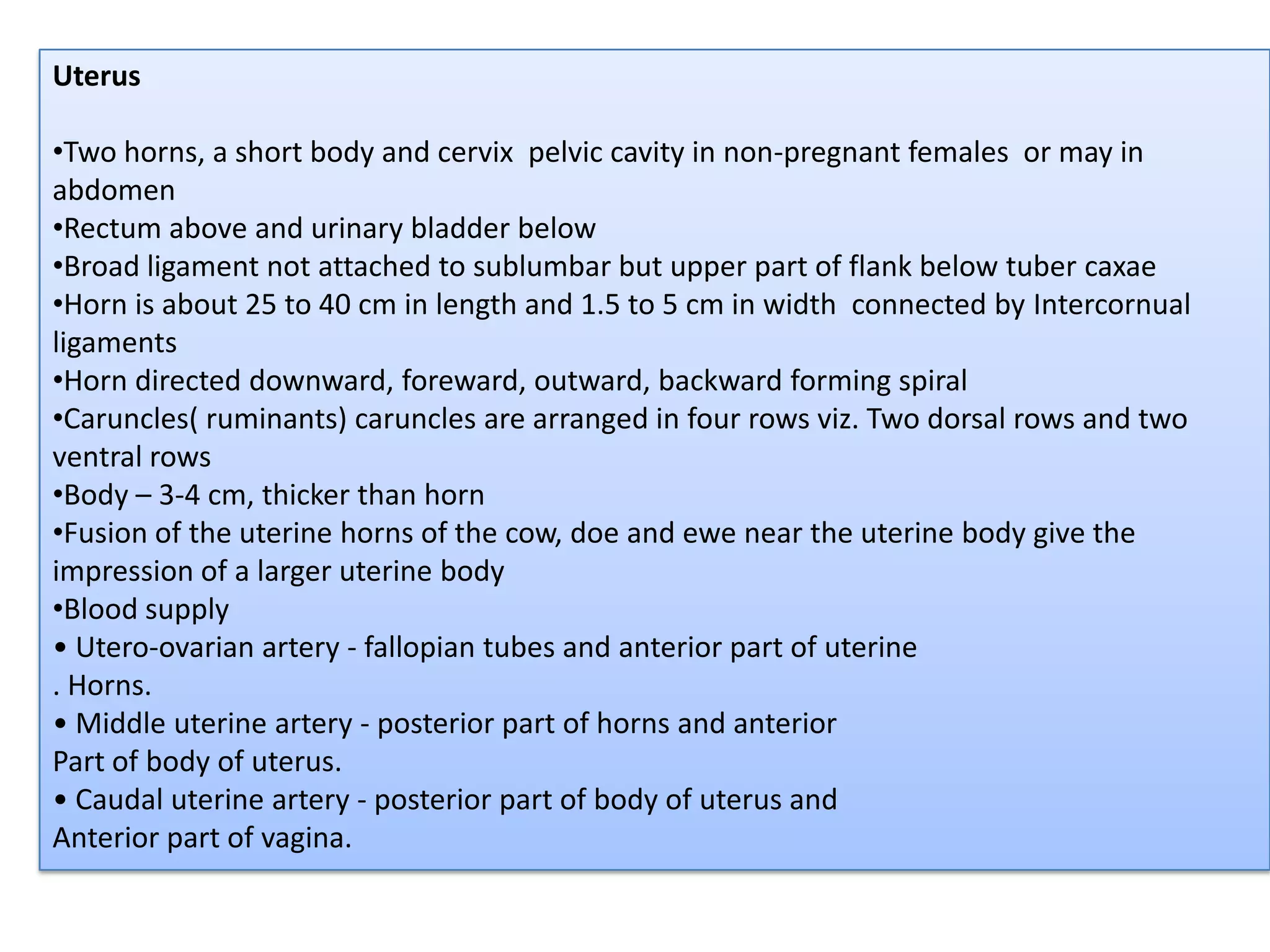 Anatomy of female reproductive tract | PPTX