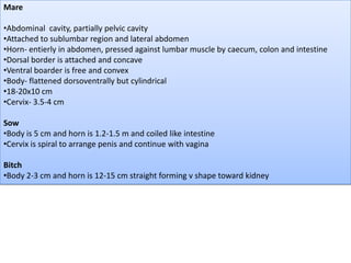 Anatomy of female reproductive tract | PPTX