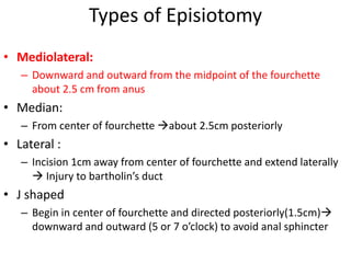 Anatomy of female reproductive organs | PPTX