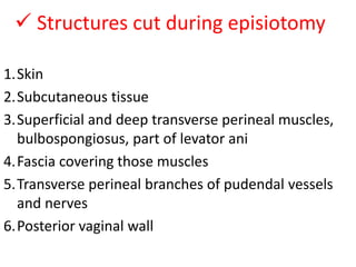 Anatomy of female reproductive organs | PPTX
