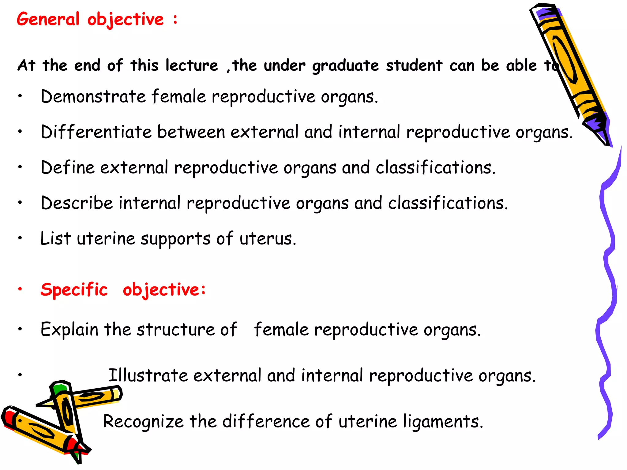 Anatomy of female reproductive organs | PPTX