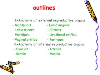 Anatomy of female reproductive organs | PPTX