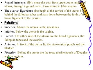Anatomy of female reproductive organs | PPTX