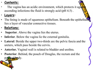 Anatomy of female reproductive organs | PPTX