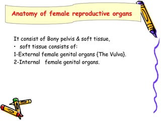 Anatomy of female reproductive organs | PPTX