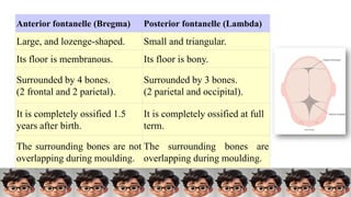 Anatomy of the fetal skull, its sutures and fontanelles.pdf