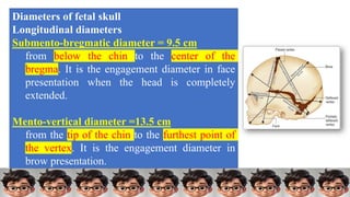 Anatomy of the fetal skull, its sutures and fontanelles.pdf