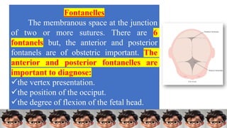 Anatomy of the fetal skull, its sutures and fontanelles.pdf
