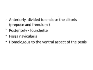 Anatomy and applied aspects of Female genital tract | PPTX