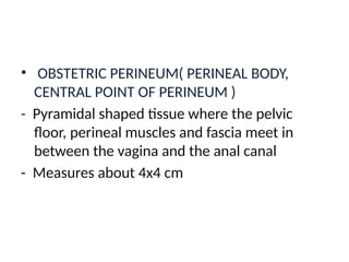 Anatomy and applied aspects of Female genital tract | PPTX