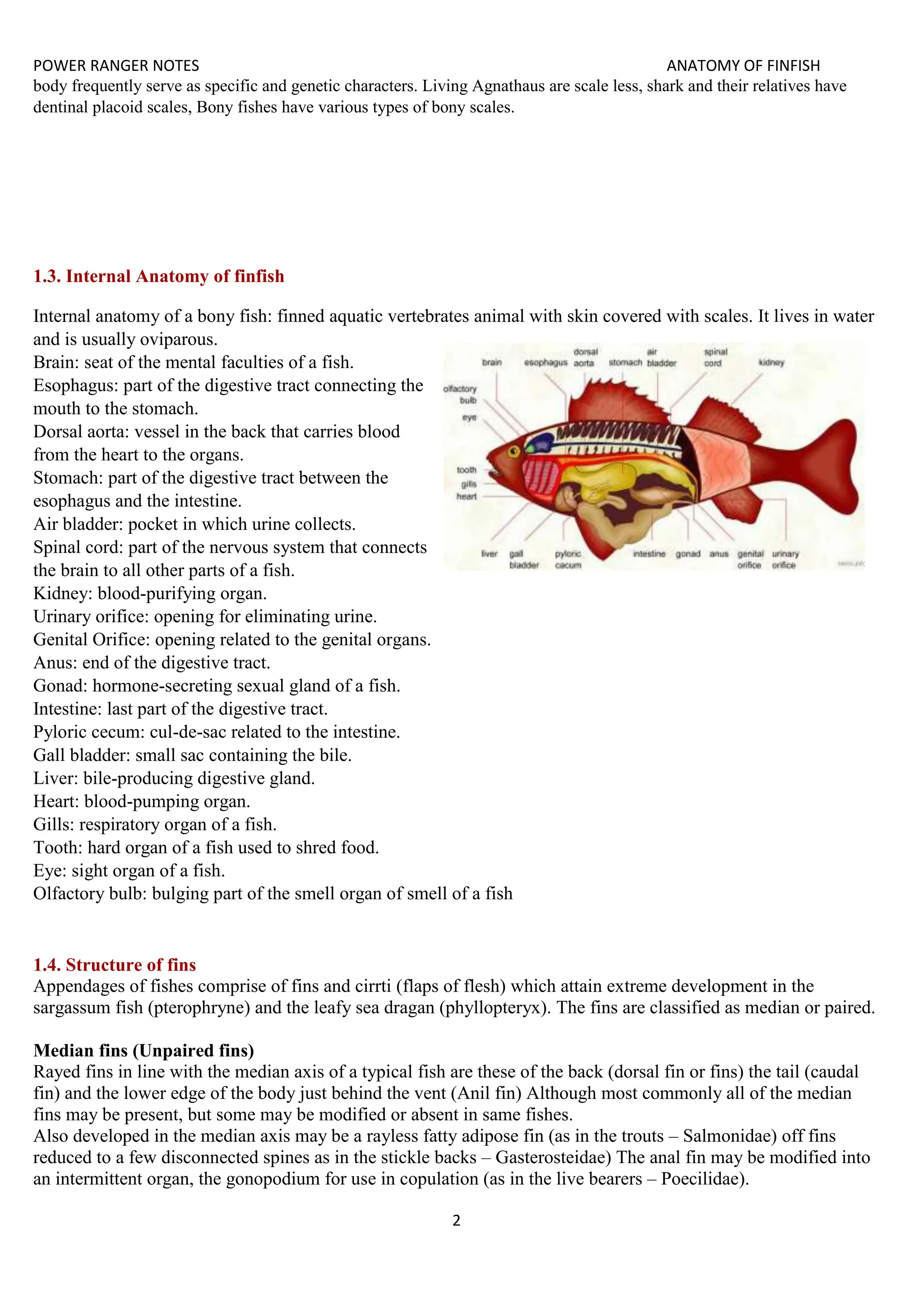 anatomy of finfish ecourse fisheries.docx