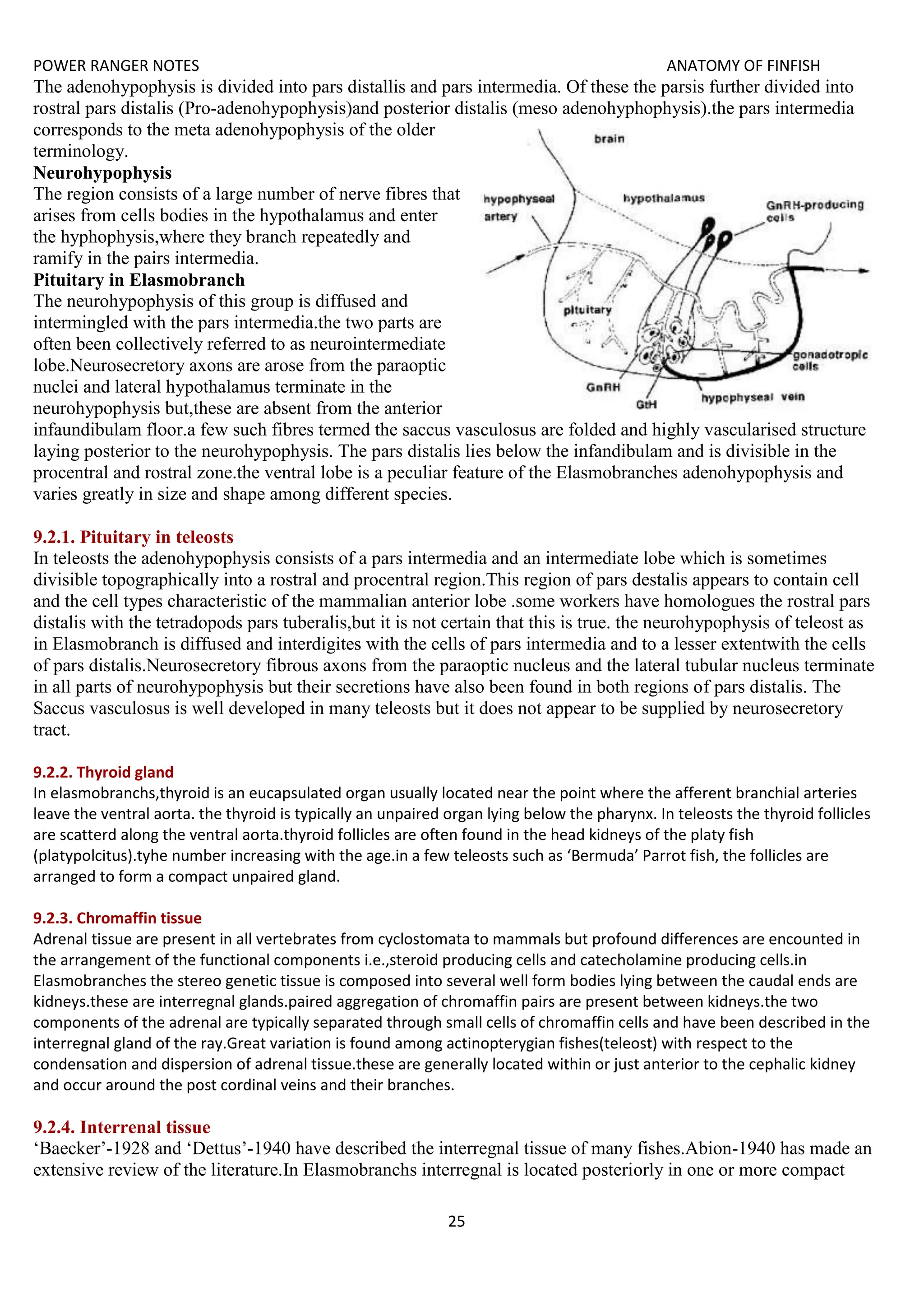 anatomy of finfish ecourse fisheries.docx