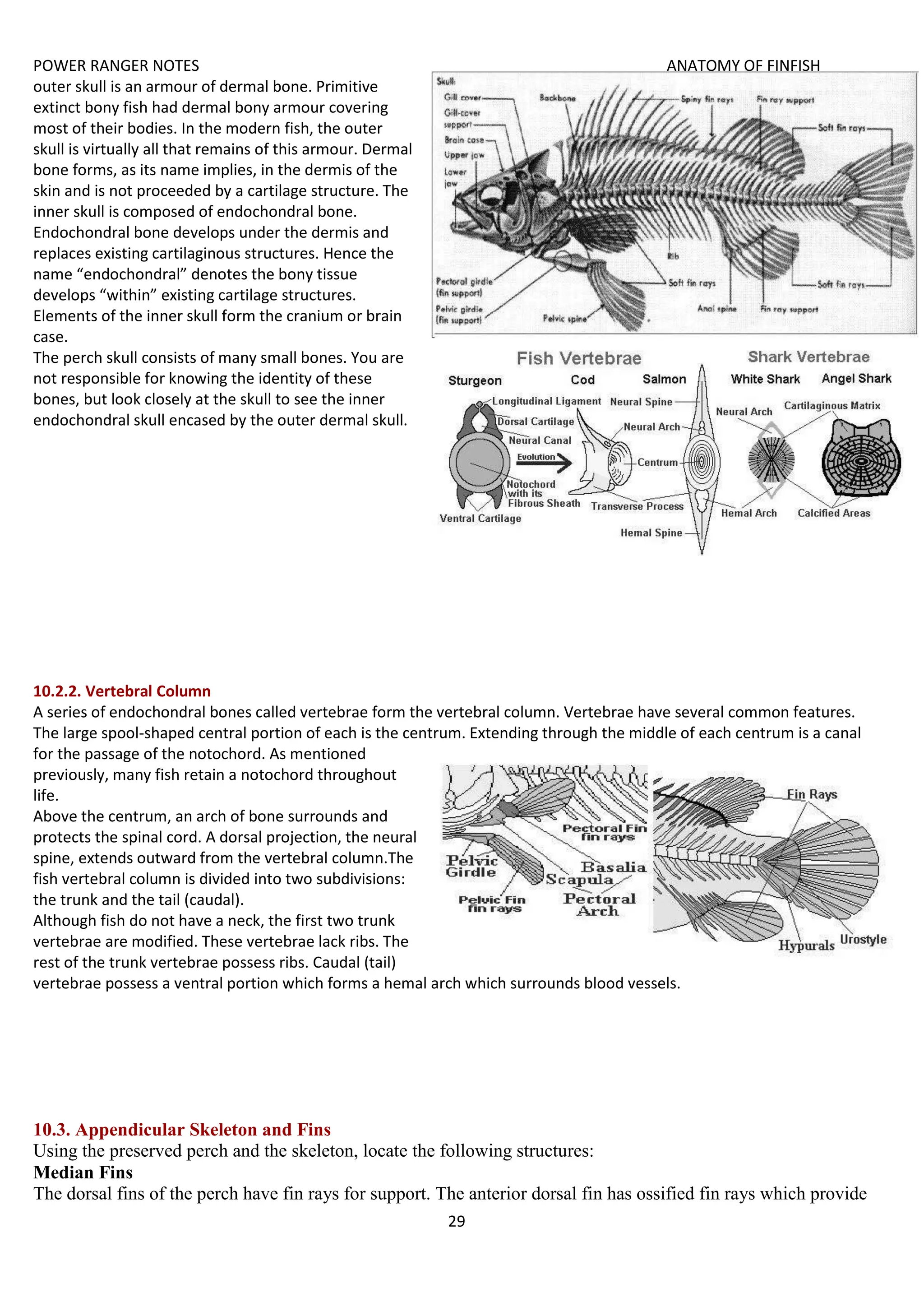 anatomy of finfish ecourse fisheries.docx