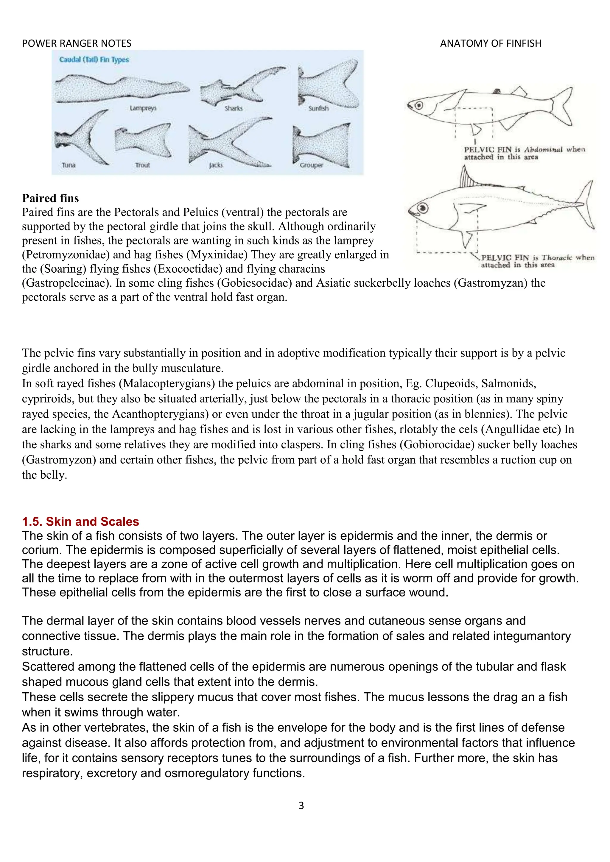 anatomy of finfish ecourse fisheries.docx