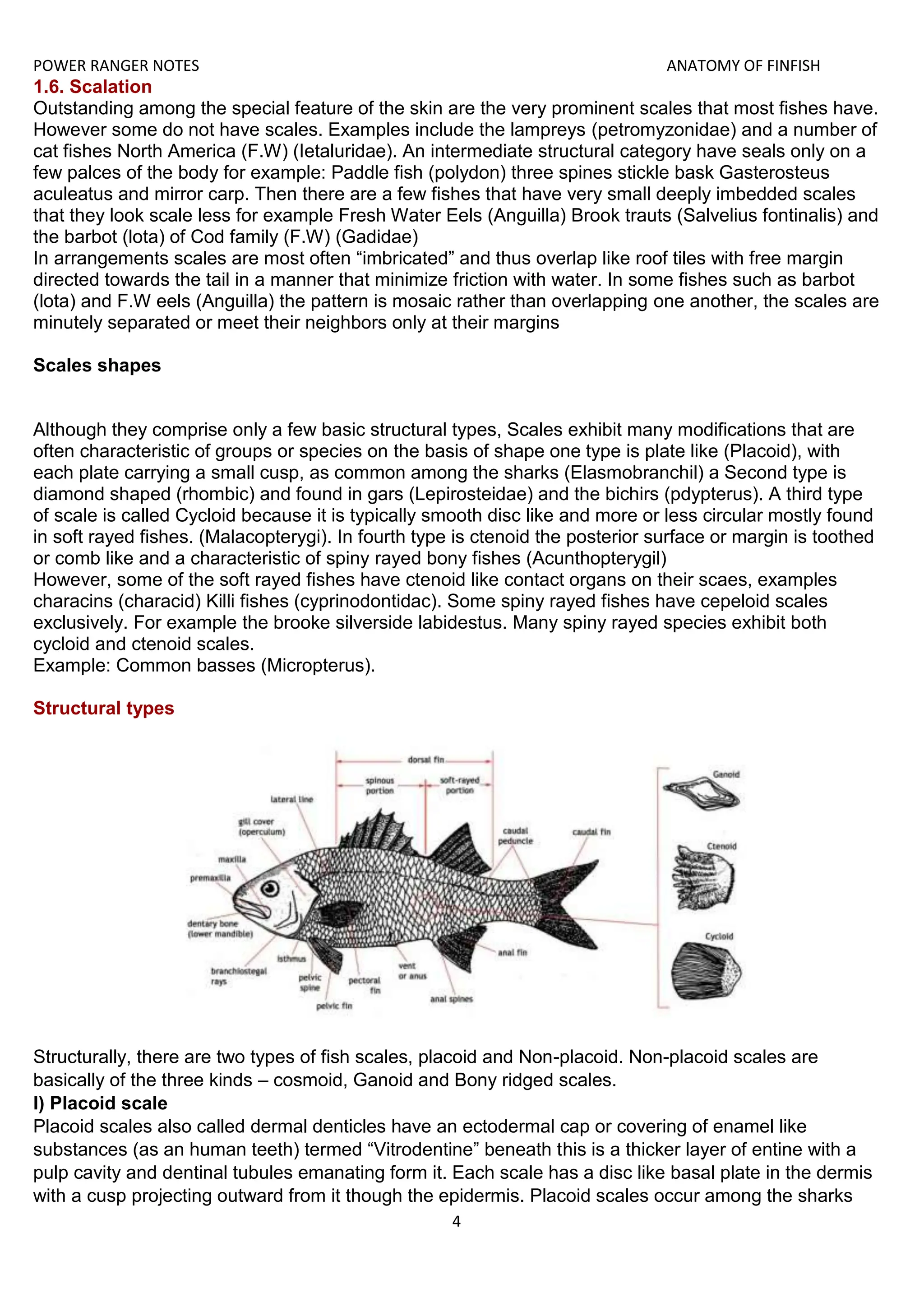 anatomy of finfish ecourse fisheries.docx